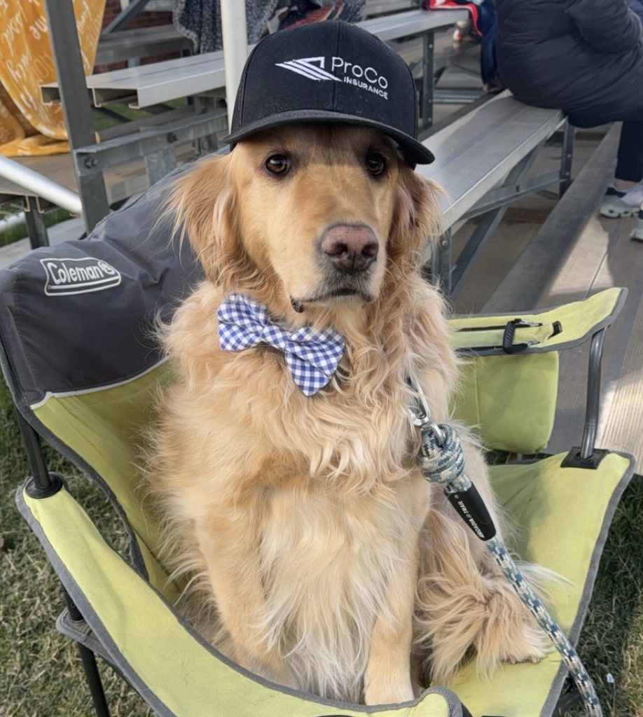 Insurance Agency in Keller, TX | ProCo Insurance LLC